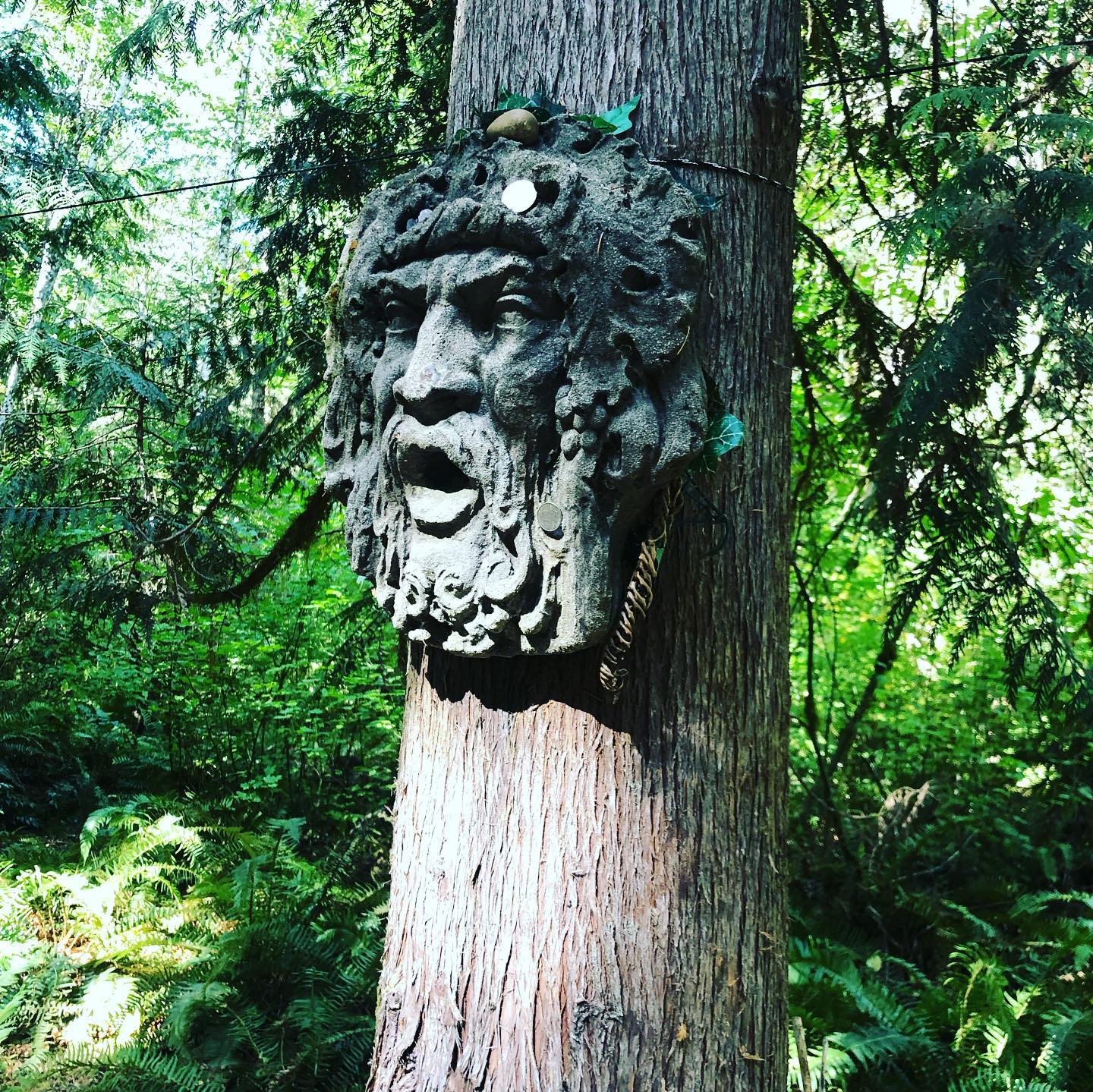 Episodes and Updates – The Science Witch Podcast